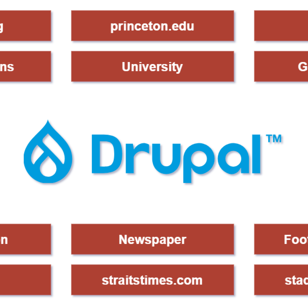 Drupal Development Company | Weebpal Drupal Agency